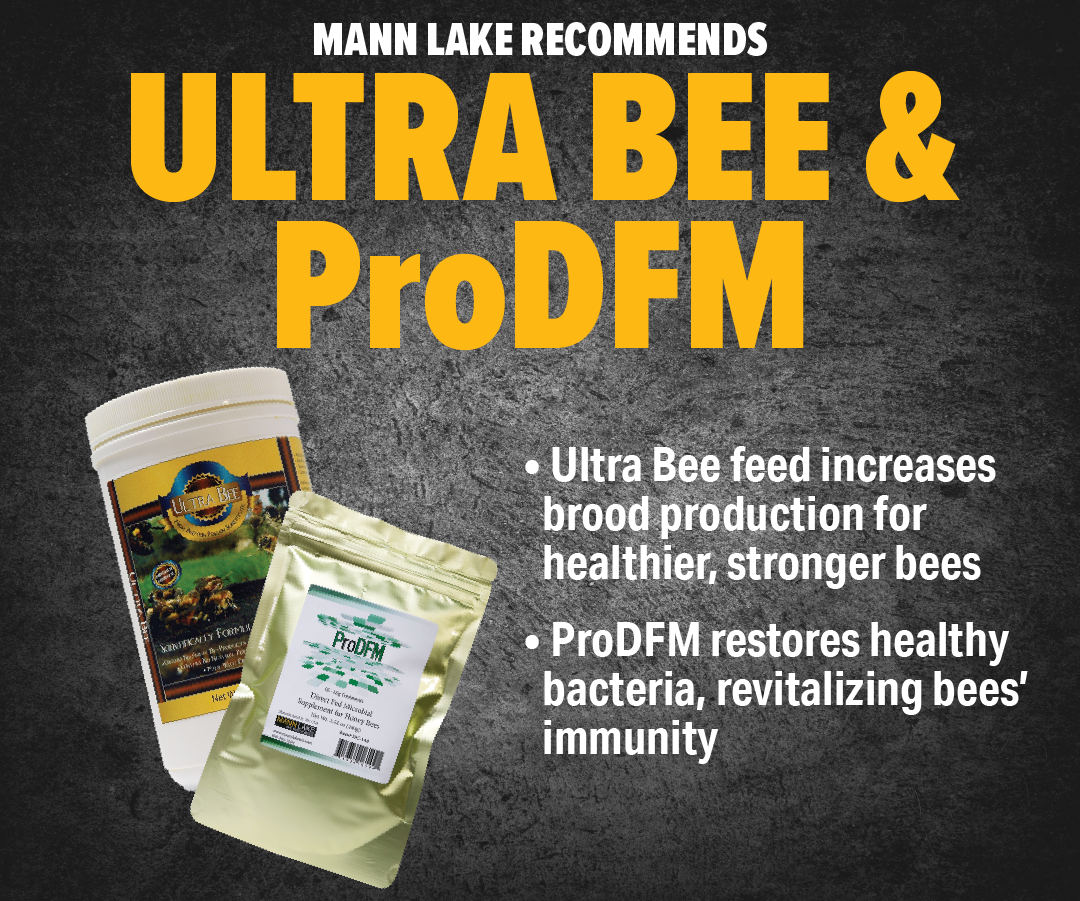 Pollen Substitute & Microbial Supplement - Mann Lake Bee & Ag Supply